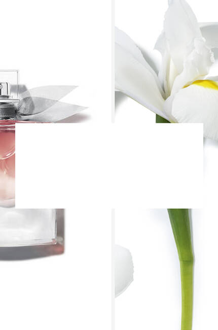 Fragrance Finder | Find Your Perfect Fragrance | Lancôme