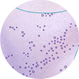 New Skin Screen for Most Advanced Skin Analysis | Lancôme